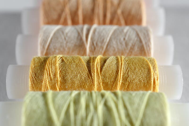 Yellow Thread. Several Coils of Thread in Different Shades of Yellow ...