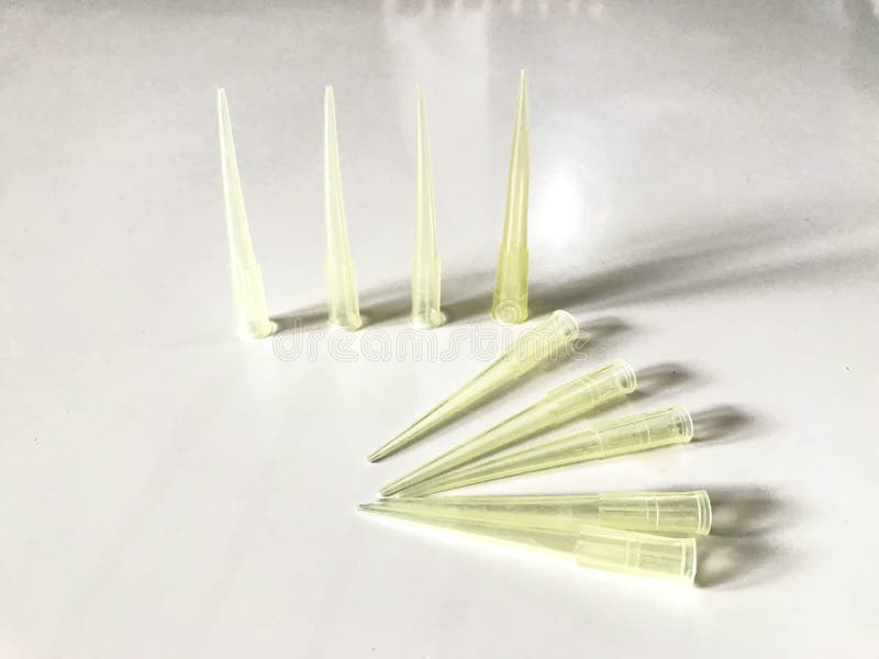 Yellow Tips Used with Micropipette for Transfering Samplee Stock Image ...