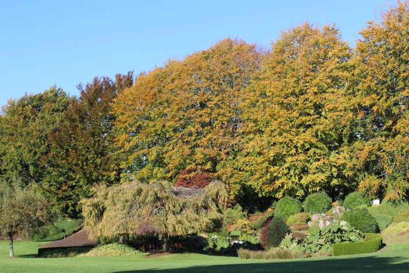 Changing Colors on Trees in Early Fall Stock Image - Image of beauty ...