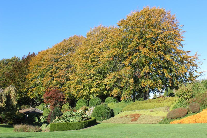 Changing Colors on Trees in Early Fall Stock Image - Image of ...