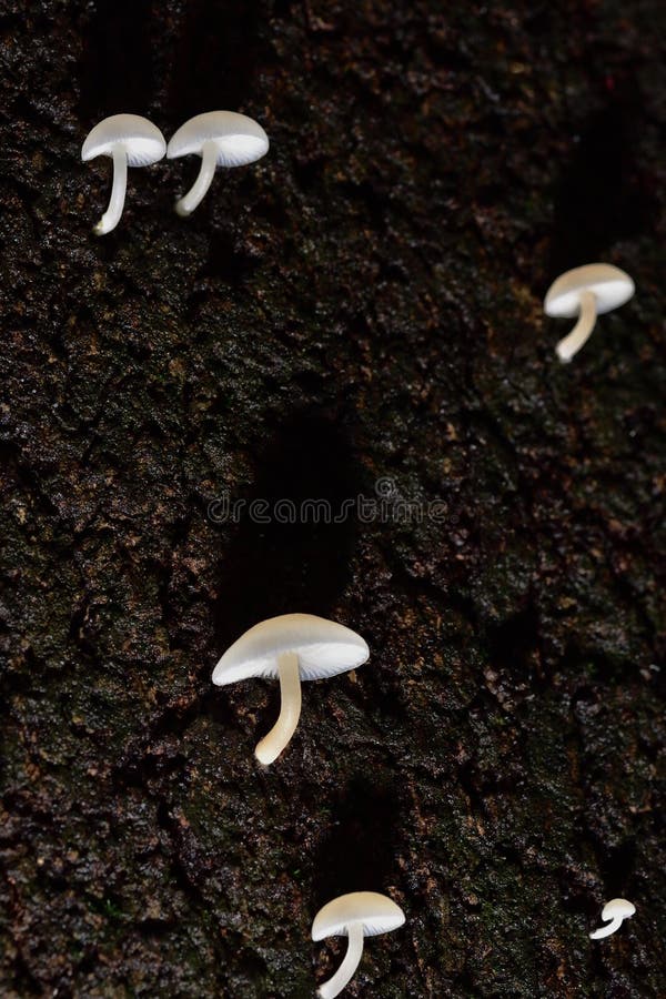 Yellow toad on clay pot stock photo. Image of rough - 125311214