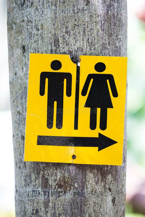 Yellow toilet signs stock photo. Image of restroom, women - 33251200