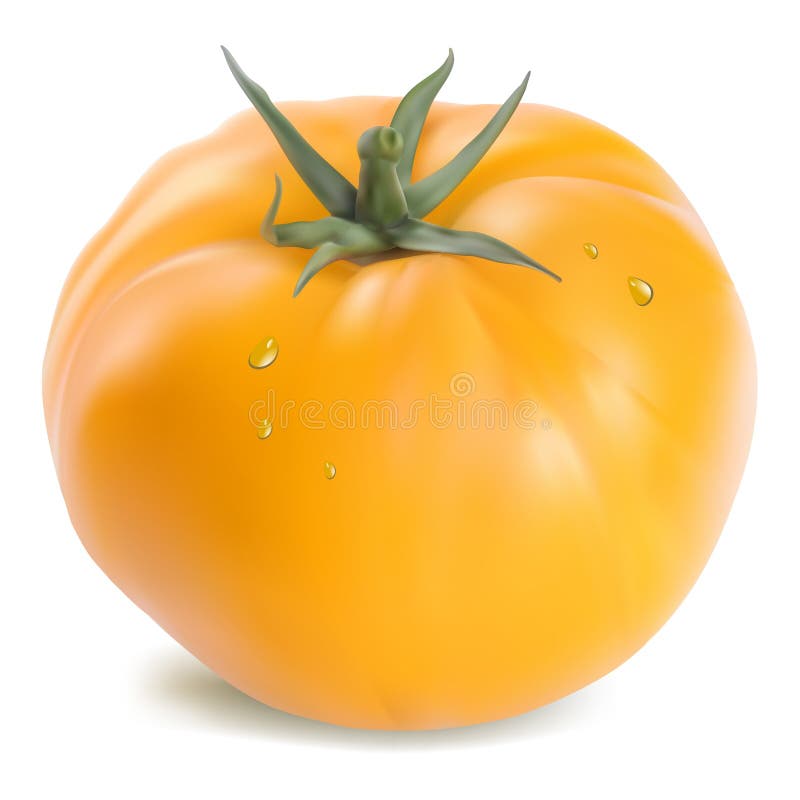 Tomato Stock Illustrations – 114,518 Tomato Stock Illustrations ...