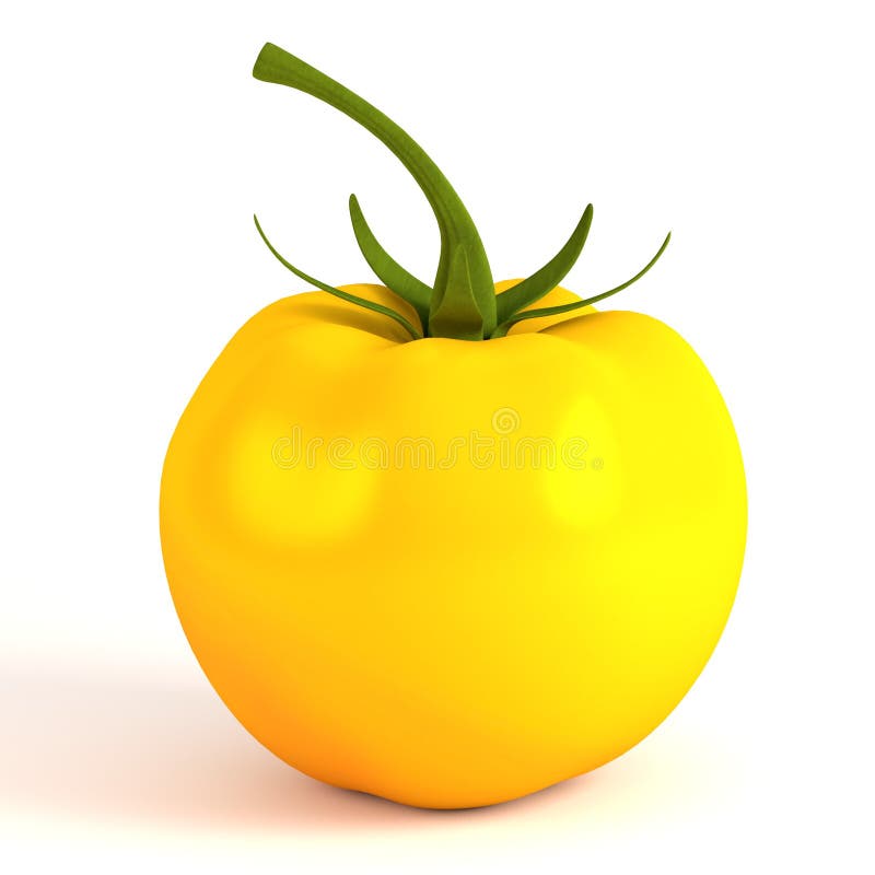 Yellow tomato stock illustration. Illustration of pear - 31284339