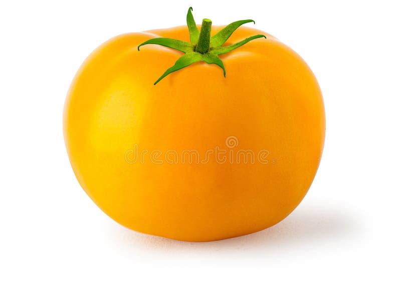 Yellow tomato isolated stock photo. Image of leaf, freshness - 272043258