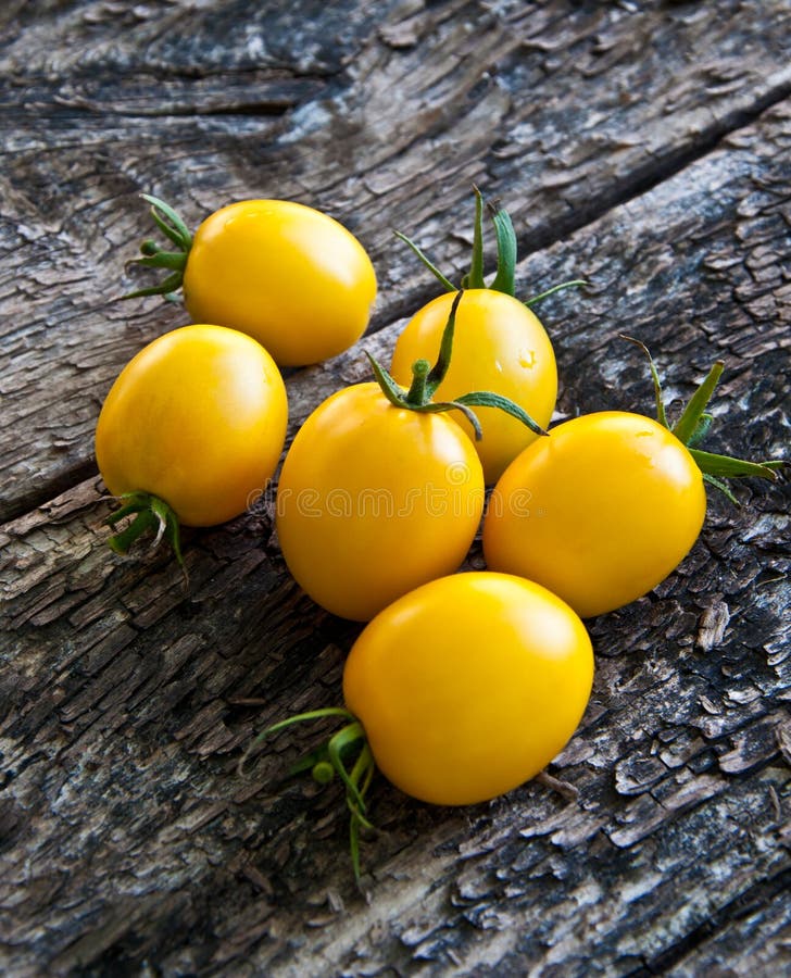Yellow tomatoes stock photo. Image of diet, healthy, nature - 26735628