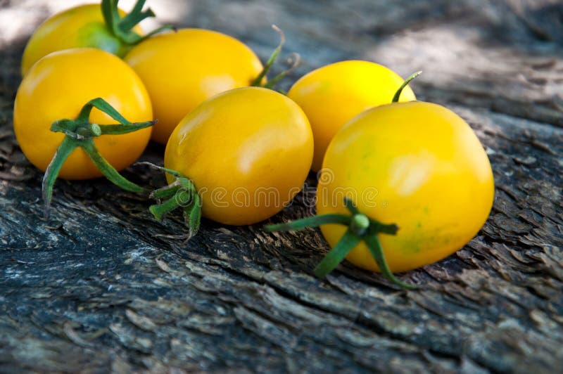 Yellow tomatoes stock image. Image of fruit, closeup - 26735653