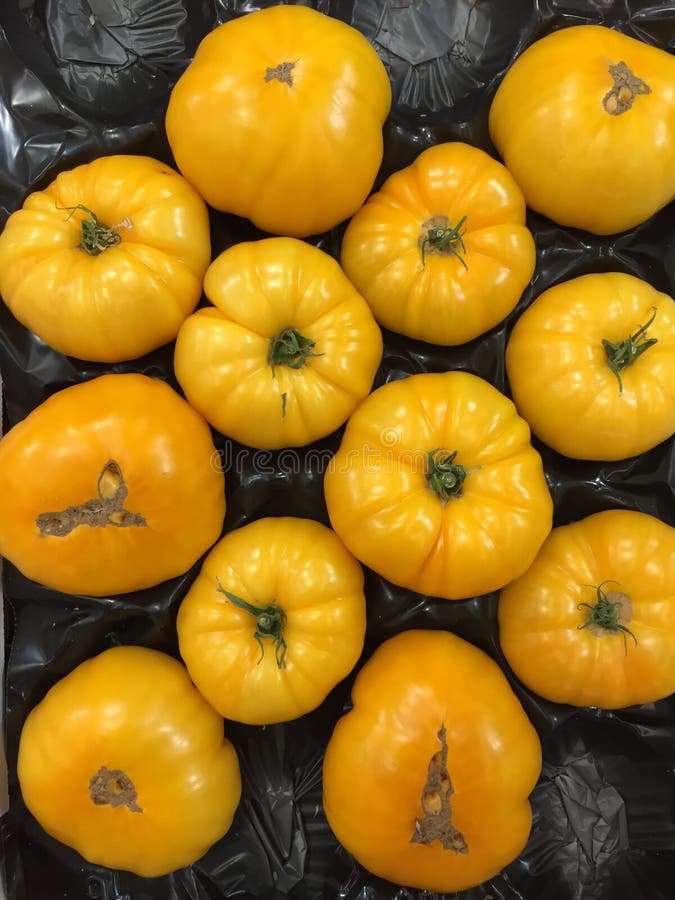 Yellow tomatoes stock image. Image of diet, juicy, natural - 54588911