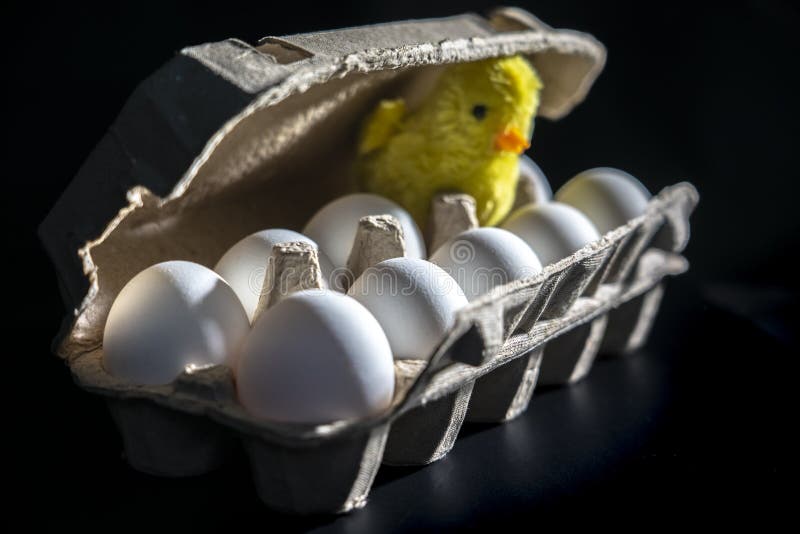 Yellow Toy Chick in the Box of Eggs Stock Image - Image of breakfast ...