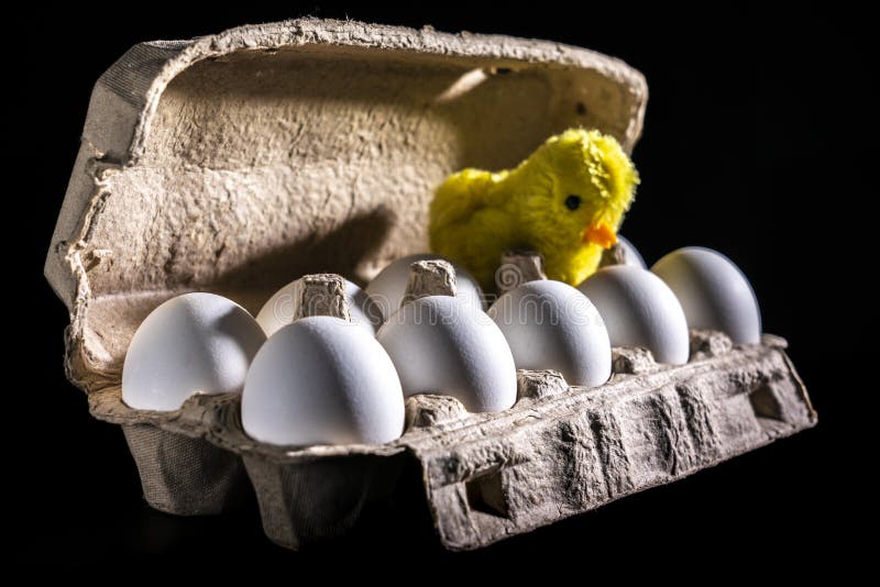 Yellow Toy Chick in the Box of Eggs Stock Photo - Image of closeup ...