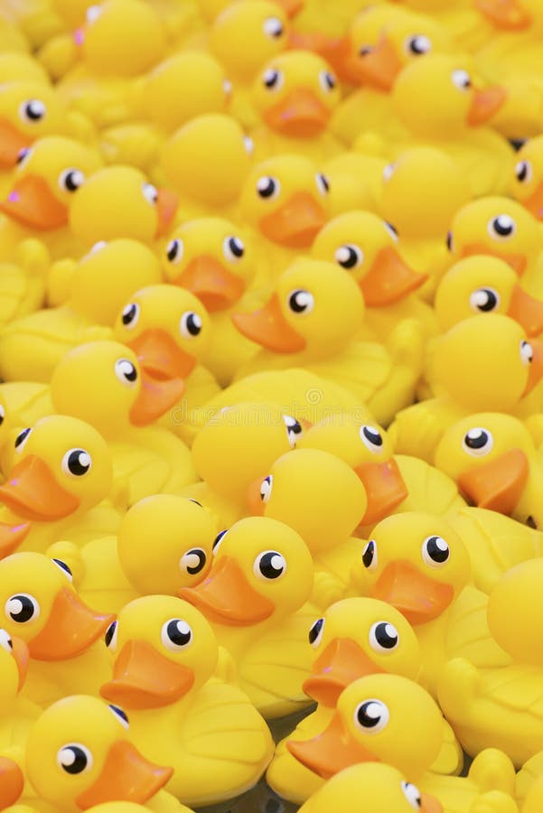 Yellow toy duck stock image. Image of play, infancy - 155086805