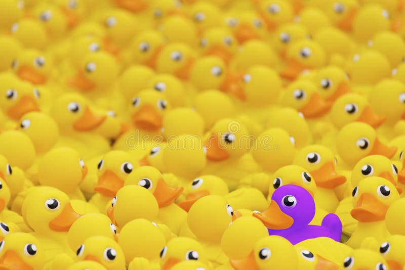 Toy Rubber Duck Floating in Swimming Pool Stock Photo - Image of funny ...