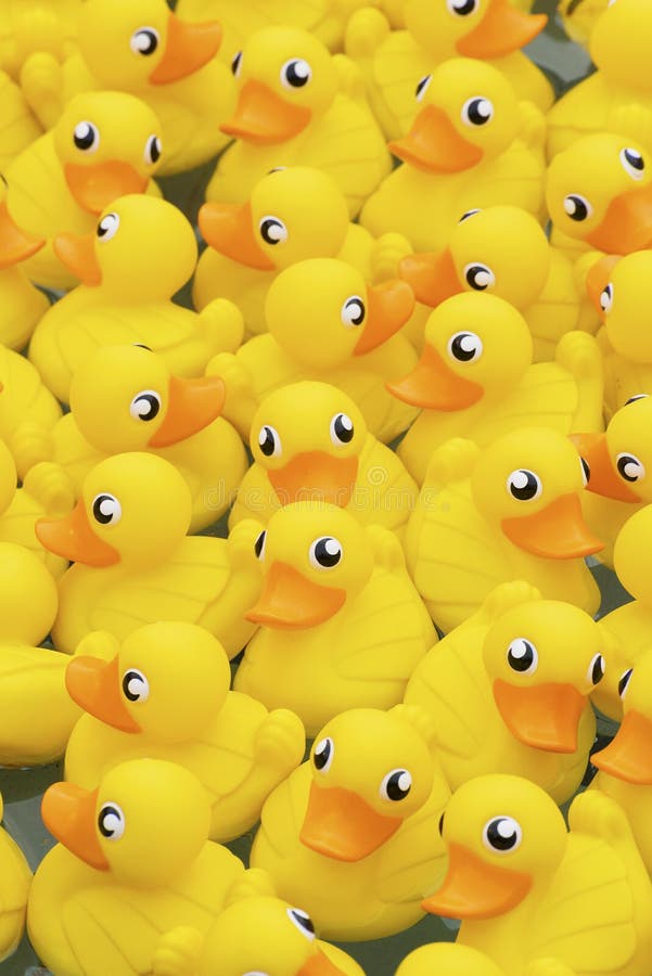 Yellow toy duck stock photo. Image of crowd, baby, child - 83847546