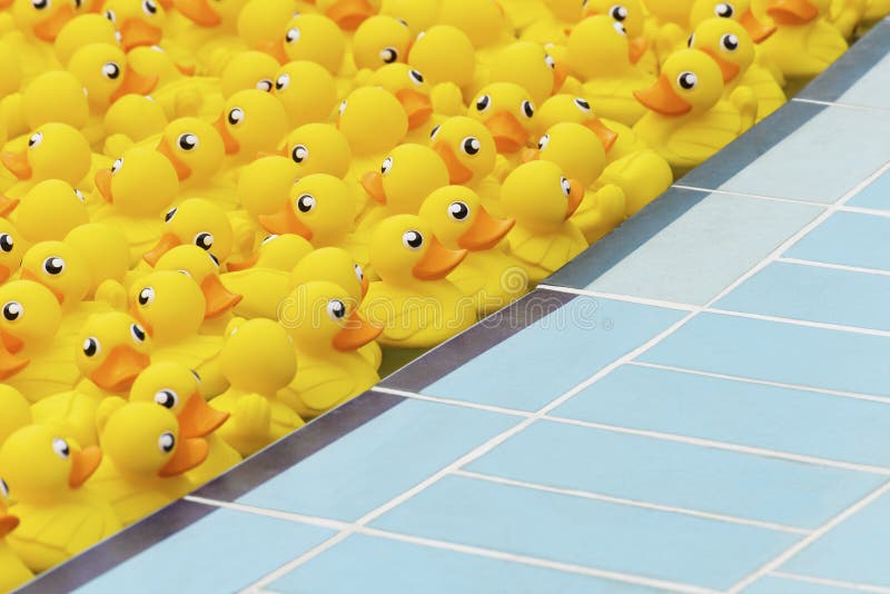 Yellow toy duck stock photo. Image of dabbling, duck - 83851498