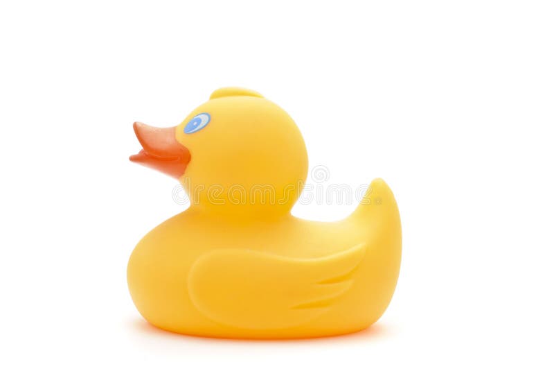 5,668 Duck Side View Stock Photos - Free & Royalty-Free Stock Photos ...