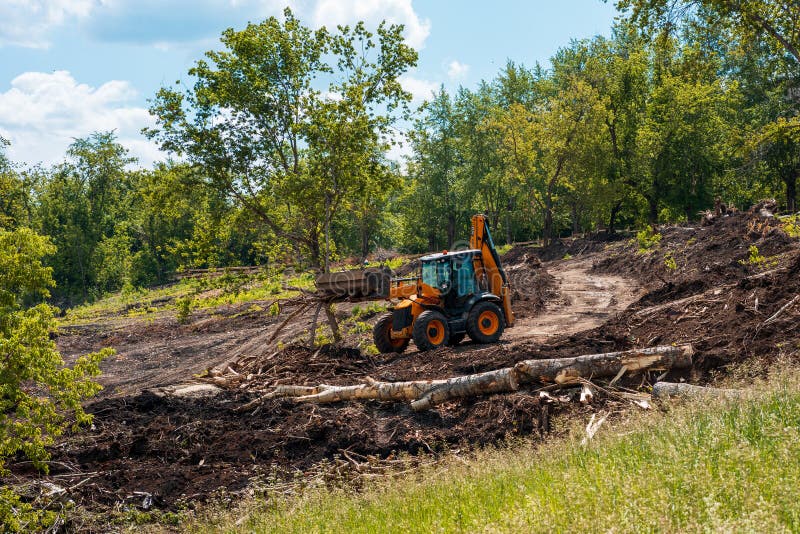 Yellow Tractor is Working on Cleaning the Territory, Preparing the Park ...