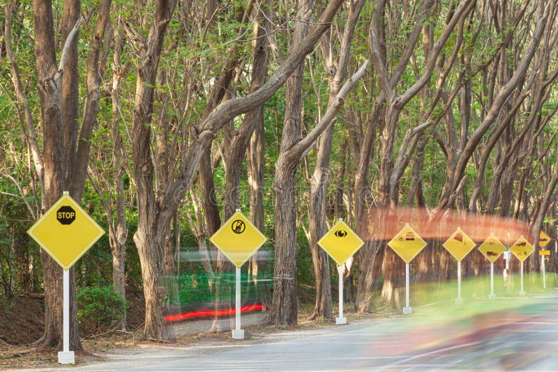 Yellow Traffic Signs on a Tree Lined Road Stock Photo - Image of safety ...