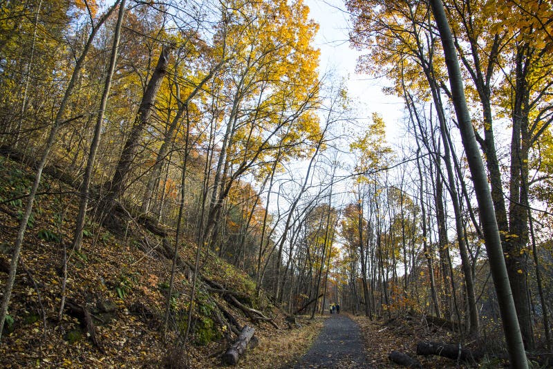 Yellow trail stock image. Image of rural, daylight, trail - 132506679