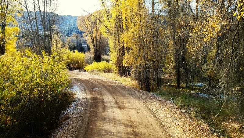 Yellow trail stock photo. Image of yellow, leading, trail - 101060450