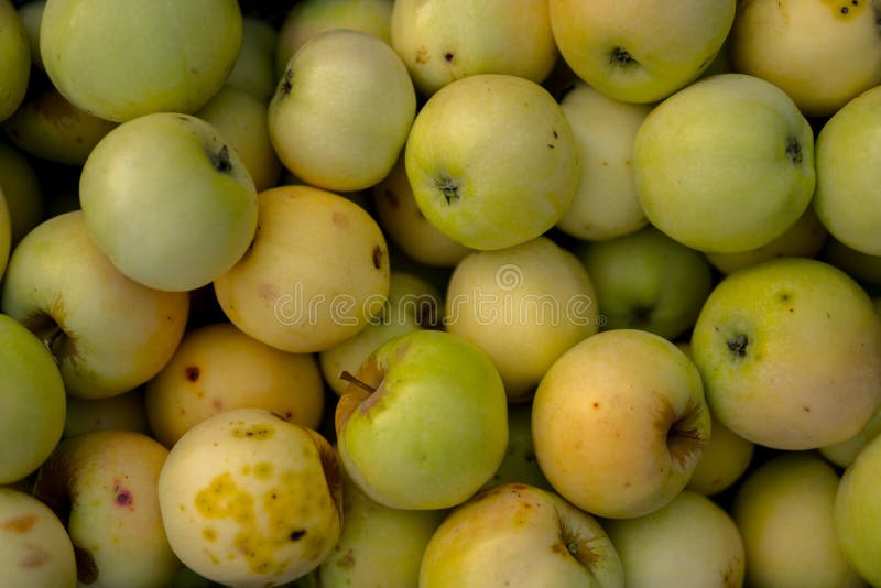 Yellow transparent apples stock image. Image of healthy - 129855625