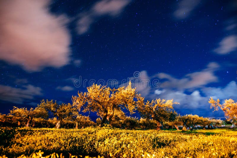 Yellow tree and starry sky stock image. Image of natural - 85720351