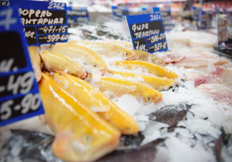 Yellow Trout on Fish Market Display Stock Photo - Image of merchandise ...