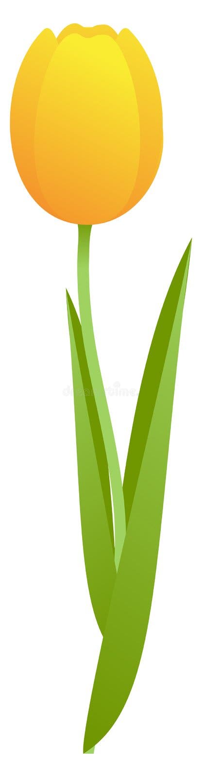 Single Tulip Stock Illustrations – 16,701 Single Tulip Stock ...