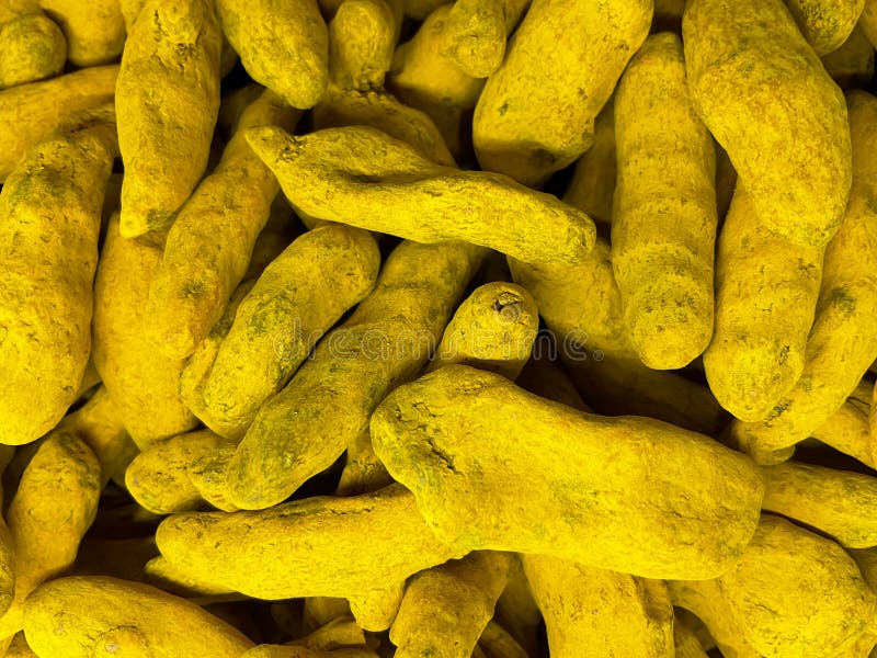 Yellow Turmeric Roots, the Dried Turmeric Root Stock Image - Image of ...