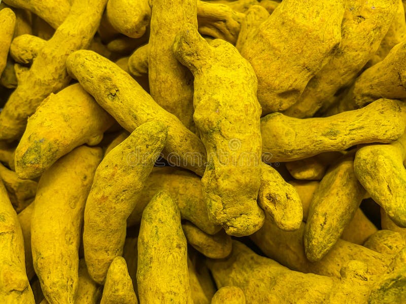 Yellow Turmeric Roots, the Dried Turmeric Root Stock Photo - Image of ...