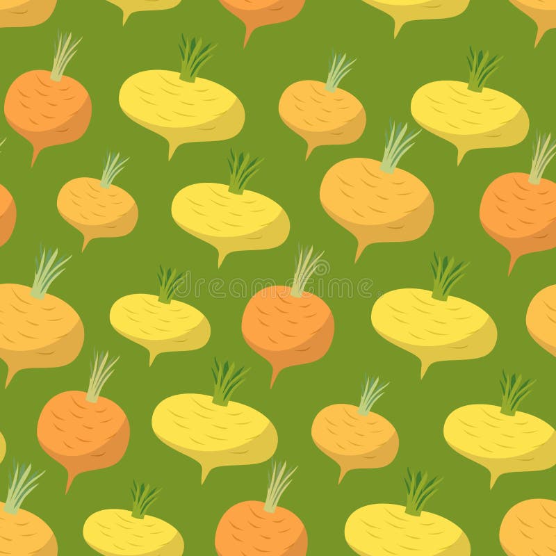 Turnip Pattern Stock Illustrations – 833 Turnip Pattern Stock ...