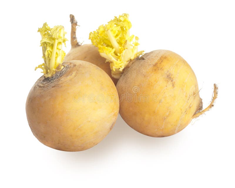 Yellow turnips stock photo. Image of beet, green, ripe - 50372364