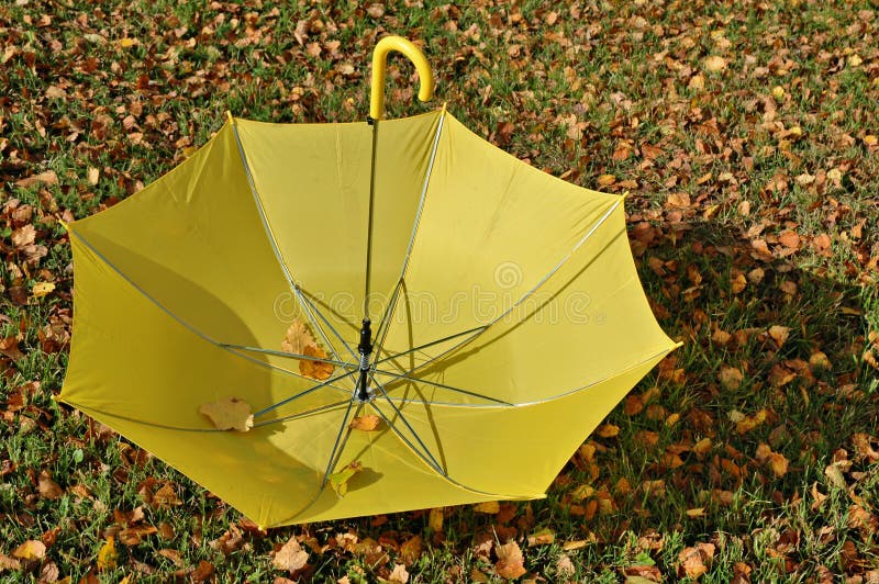 Umbrella Free Stock Photos & Pictures, Umbrella Royalty-Free and Public ...