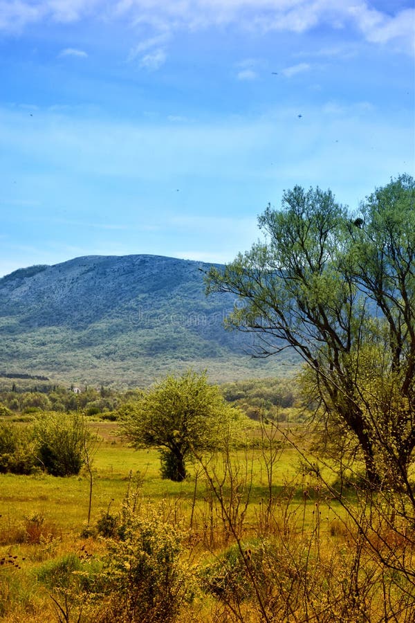 Yellow valley stock photo. Image of clouds, valley, sunny - 73907860