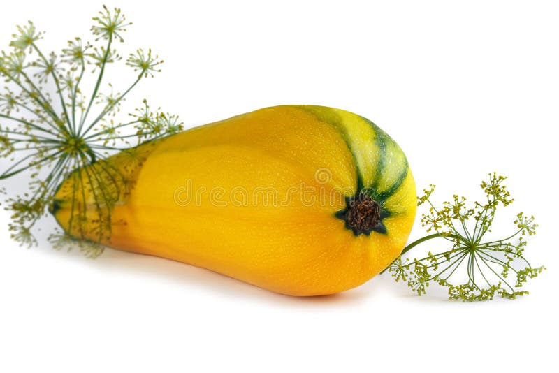 Yellow vegetable marrow stock image. Image of food, vegetables - 98007545