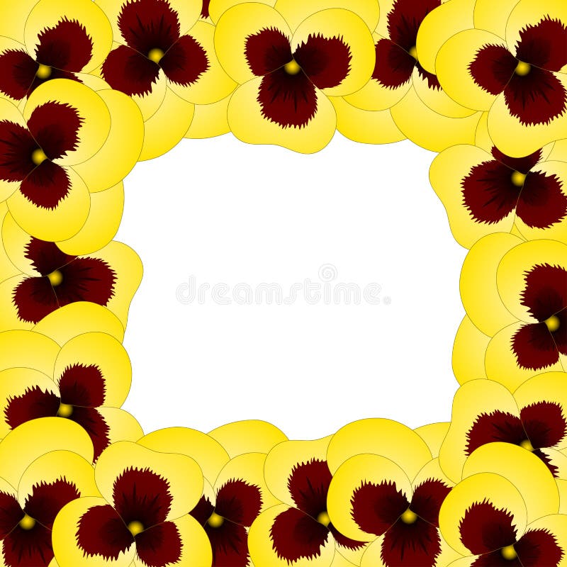 Pansy border stock vector. Illustration of horticulture - 16688456