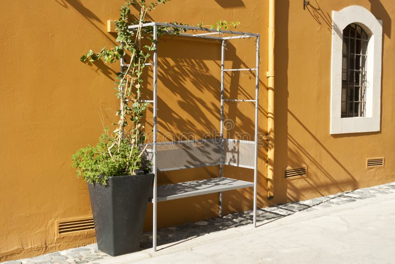 Yellow Wall with Bench, Plant and Window Stock Photo - Image of window ...