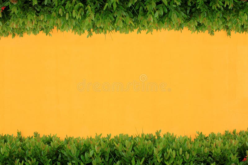 Yellow wall and bush stock photo. Image of background - 15675694