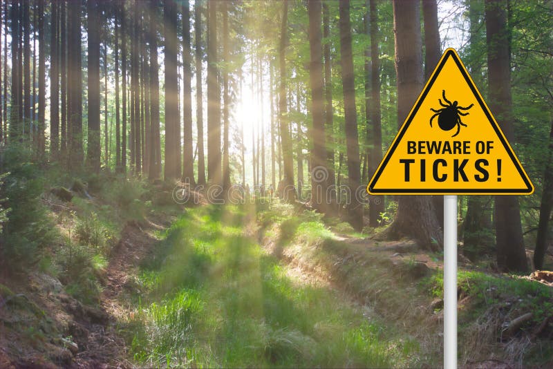 Attention beware of ticks stock image. Image of label - 117747691