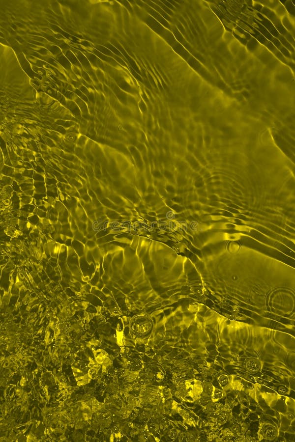 Yellow Water Lilies In Balboa Park, San Diego Stock Image - Image of ...