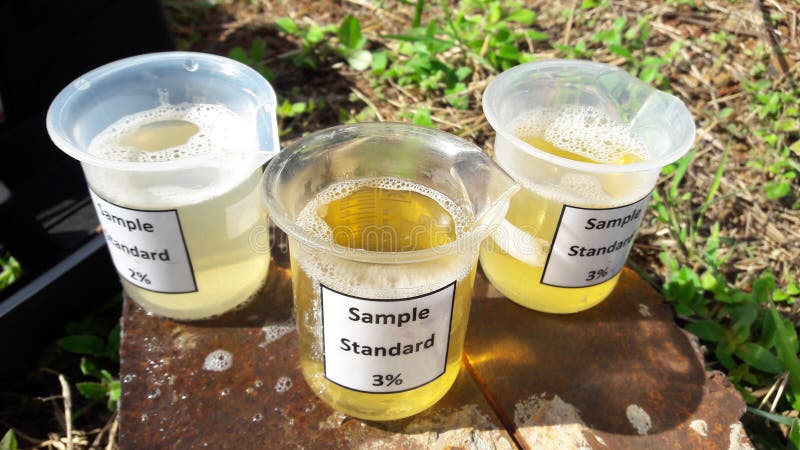 Yellow Water Liquid Foam Solution in Sample Glass. Stock Image - Image ...