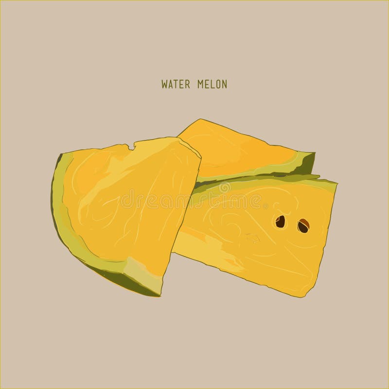 Yellow Water Melon , Sketch Vector. Stock Vector - Illustration of ...