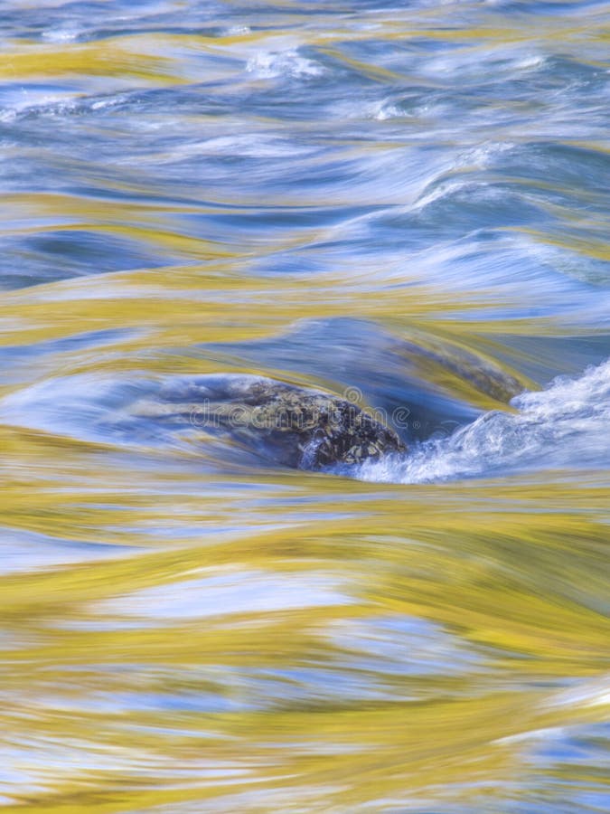 Yellow water reflection stock photo. Image of beauty - 121484694