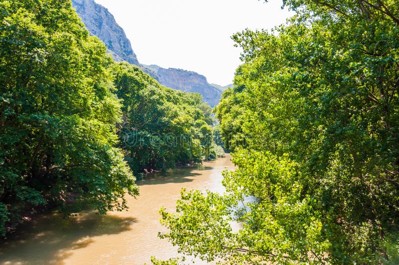 Vibrant Yellow Water in the River Surrounded by Rich Flora with ...