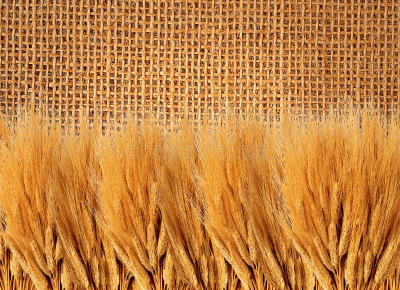 Yellow Wheat Over the Linen Texture Stock Photo - Image of corn, farm ...