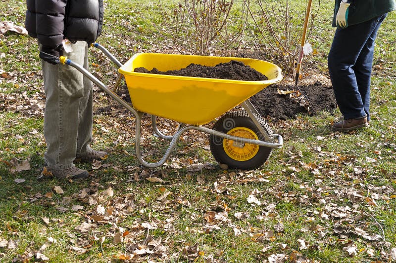Autumn Garden Maintenance stock photo. Image of rake - 16840464