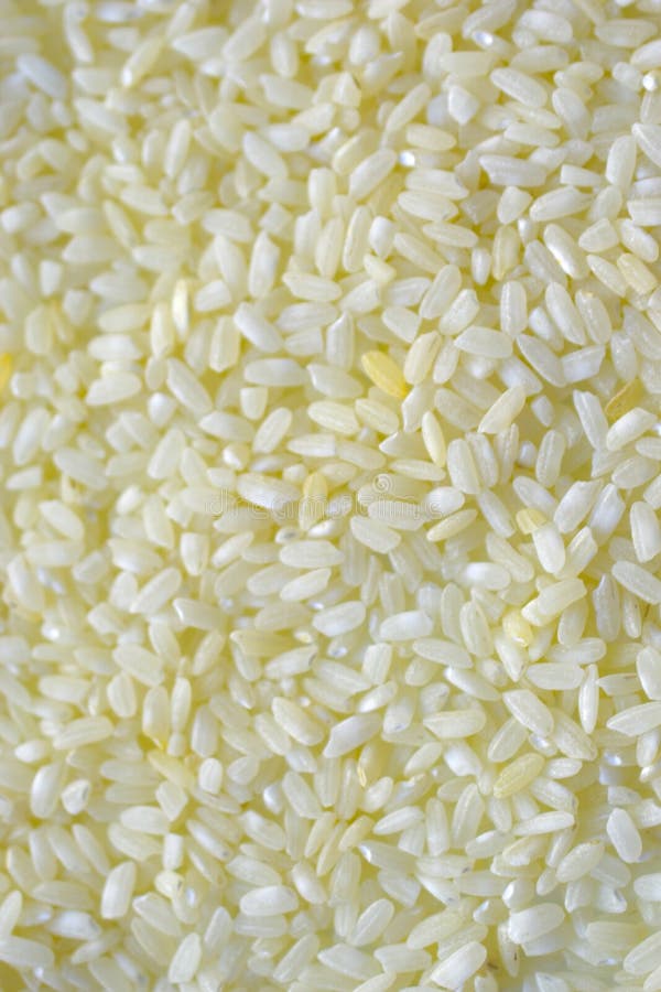 Yellow White Rice Grains for Close-up Cooking Stock Photo - Image of ...