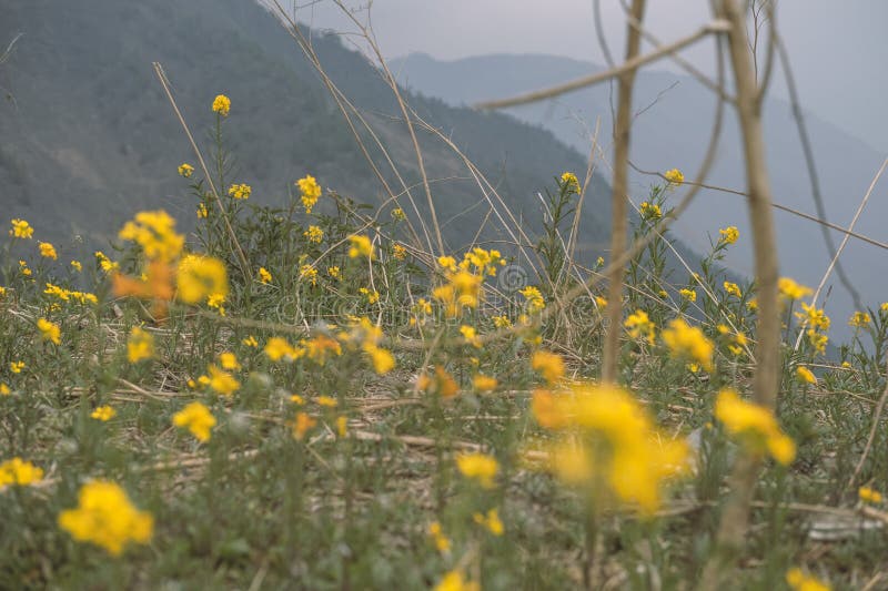 Gatlang Trek Stock Photos - Free & Royalty-Free Stock Photos from ...