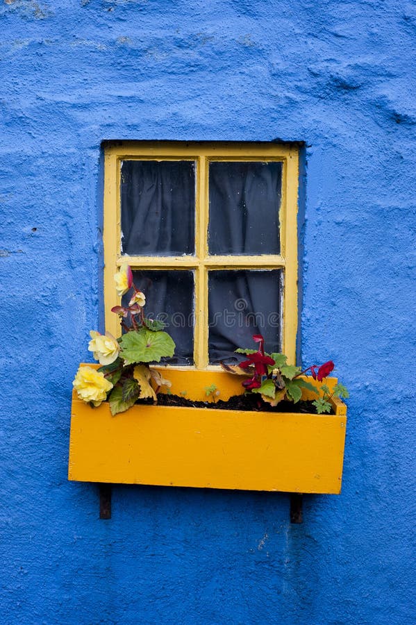 Yellow Window Flower Box on Blue Wall 002 Stock Photo - Image of blue ...