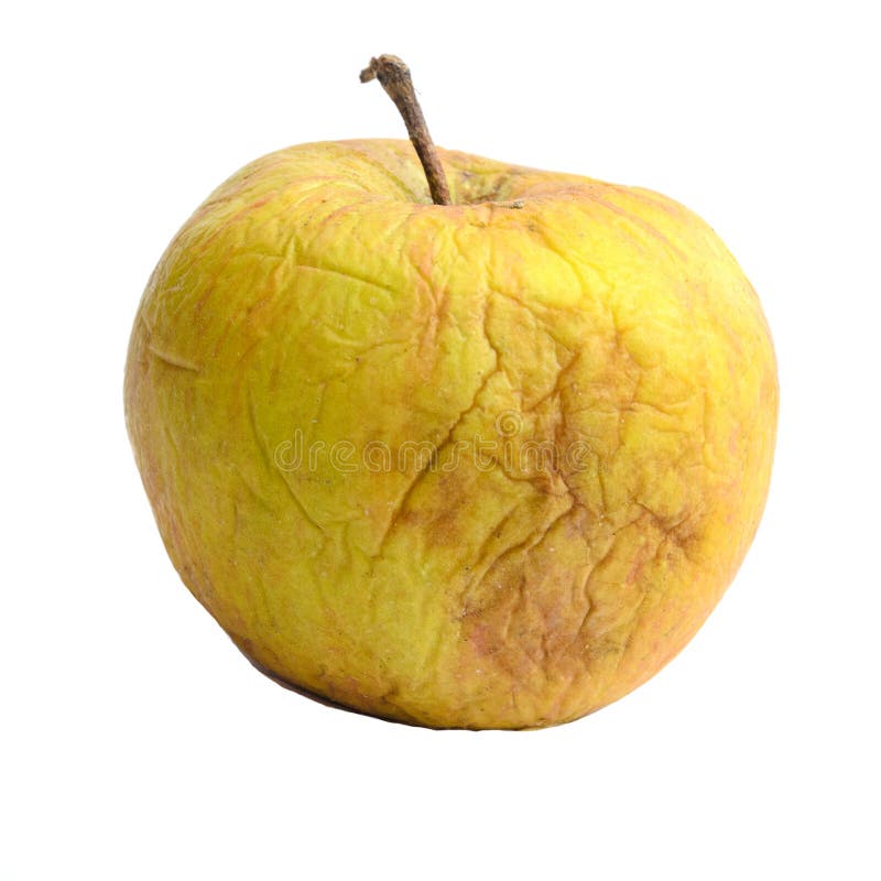 Withered apple. stock photo. Image of organic, inedible - 11239866