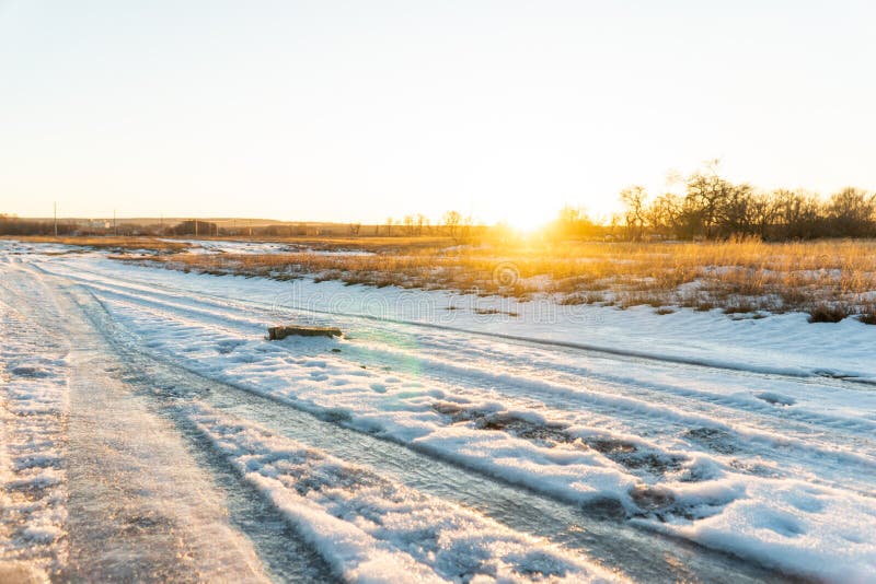 Yellow Withered Grass in the Setting Sun Under the First Snow Stock ...